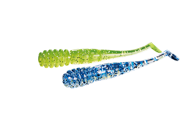 Pipi Shad ｜Jackson