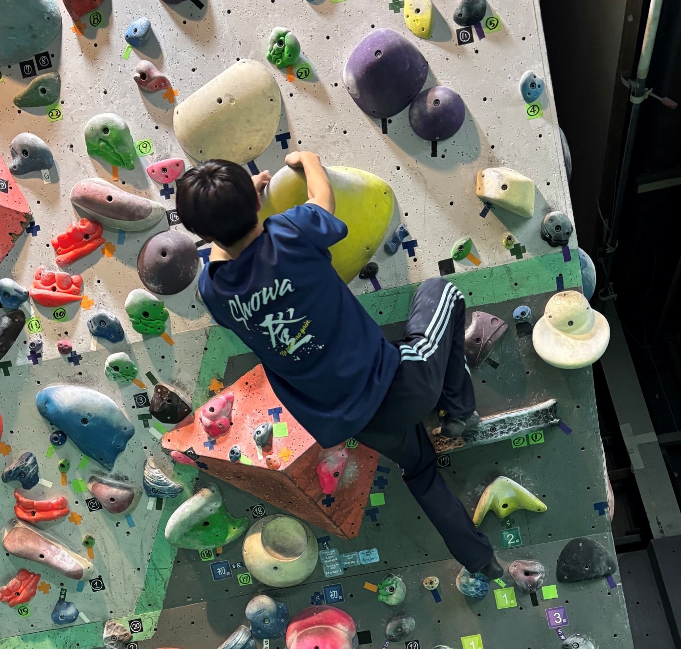 高校 クライミング部 | 昭和学院中学校・高等学校 | Yellz（エールズ）