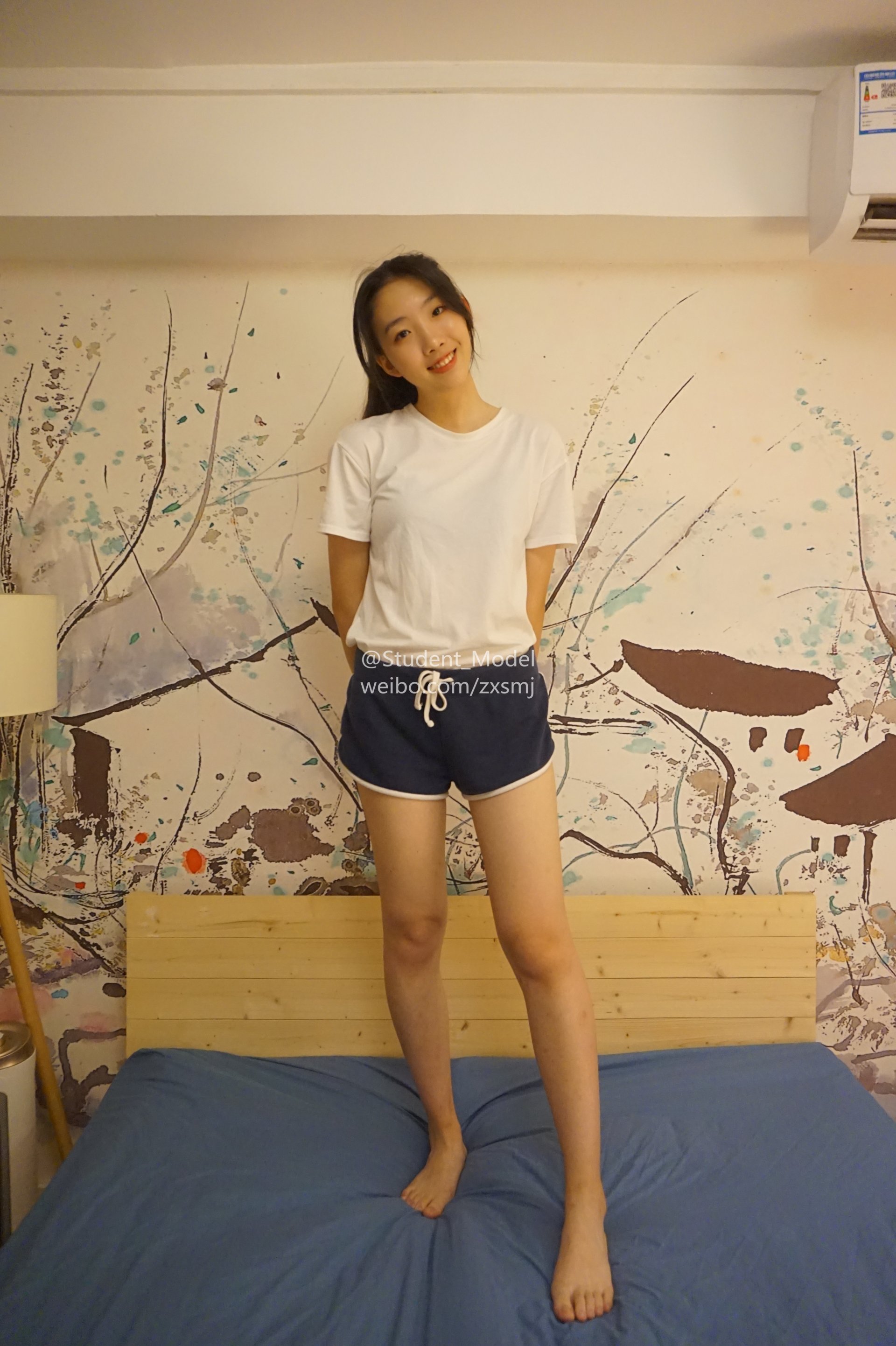 Student Model Bee - Limerence