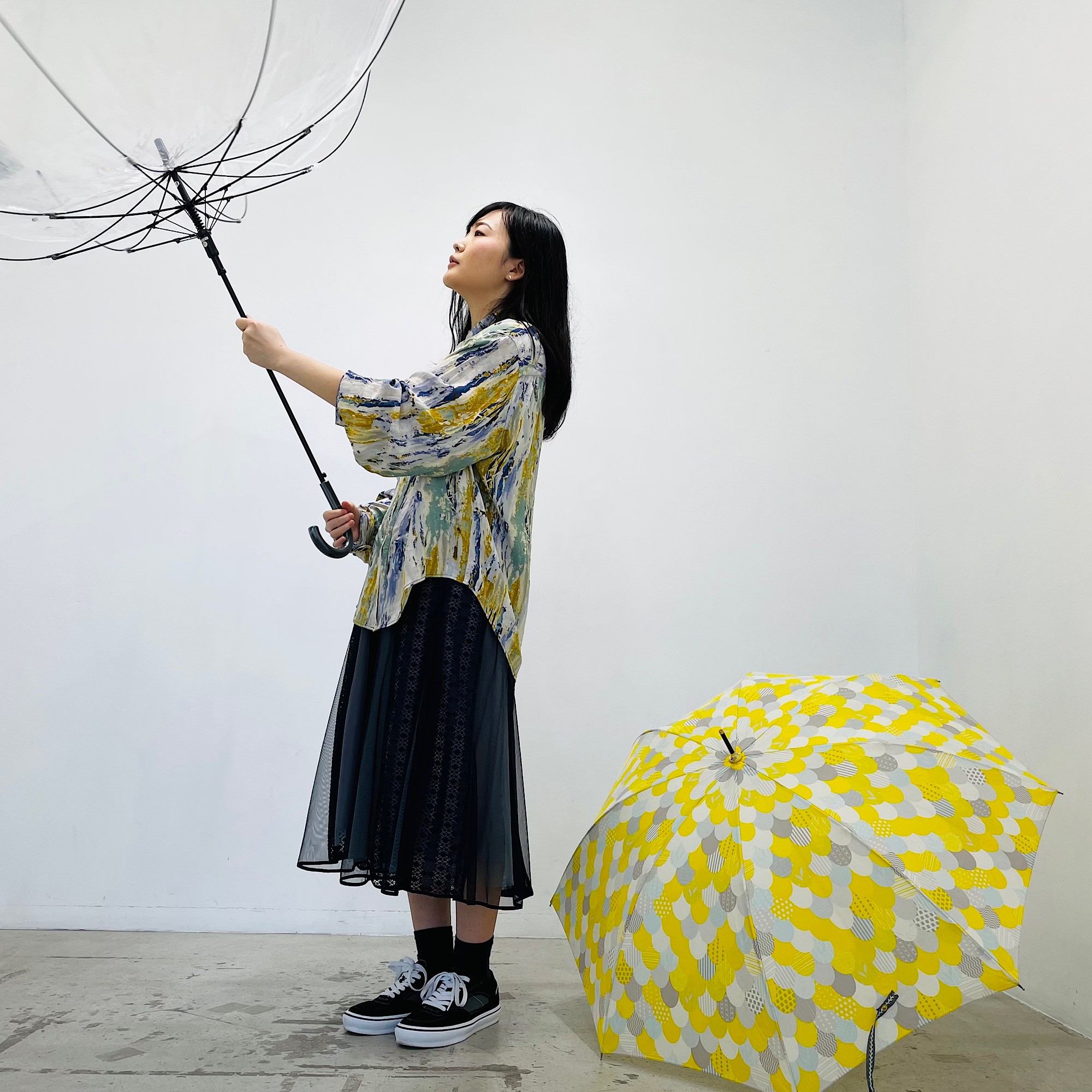 シマヌキ - Mudia