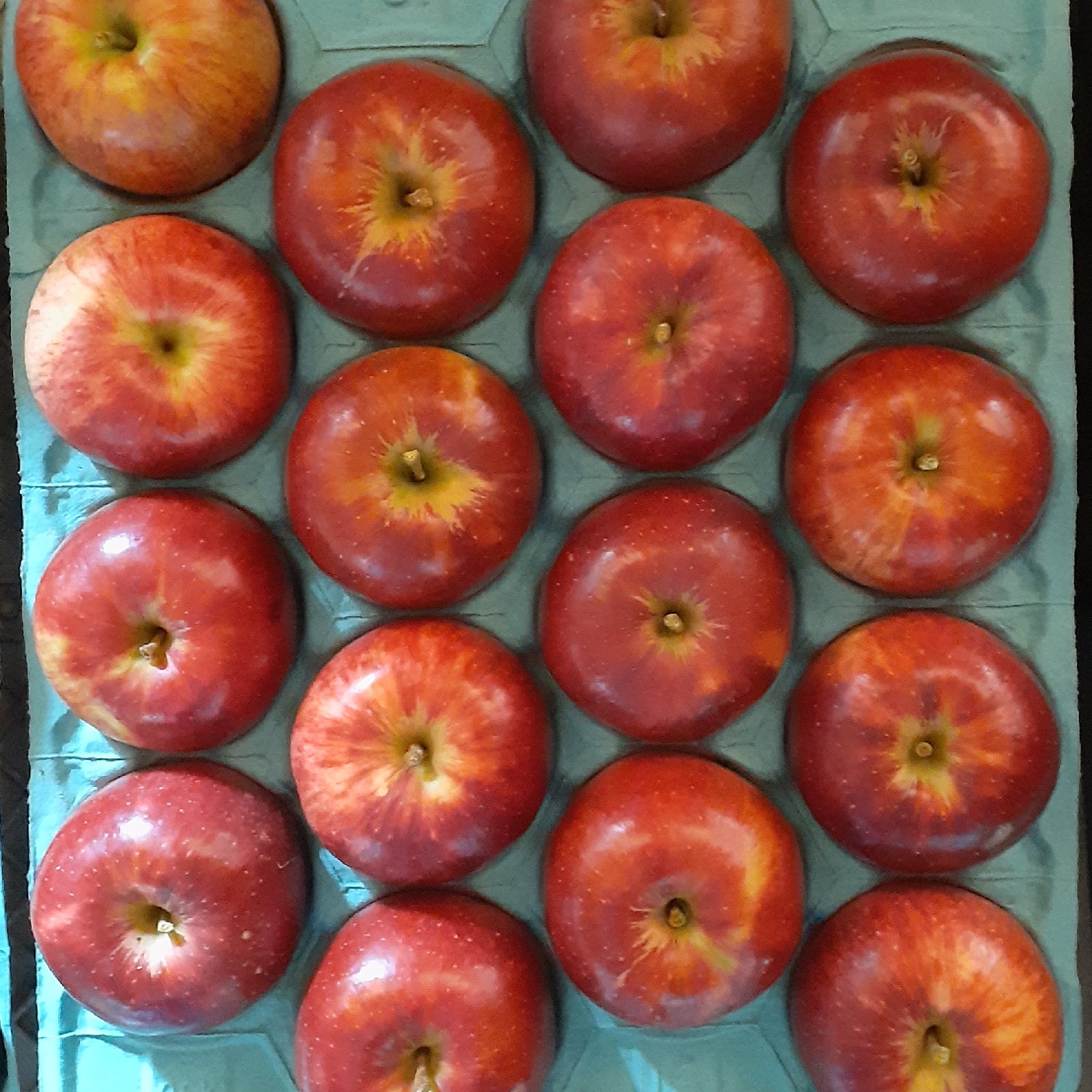 【今が旬】サンつがる 16玉 5kg りんご | 果物/りんご 産直アウル 農家から直接野菜などの食材を購入できる産地直送の宅配通販サイト