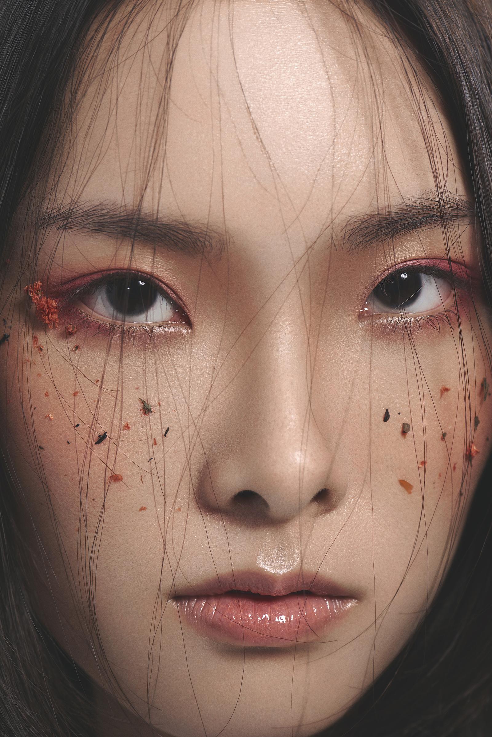 LOOPER STUDIO－PRO360