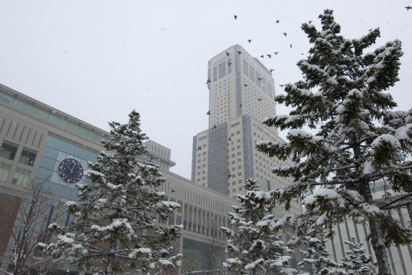 JR Tower Hotel Nikko Sapporo | Ski Japan Holidays