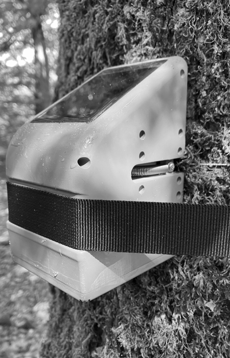 The Tree Pulse Network